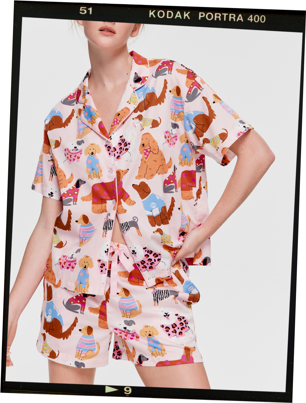 Peter Alexander Catalogue