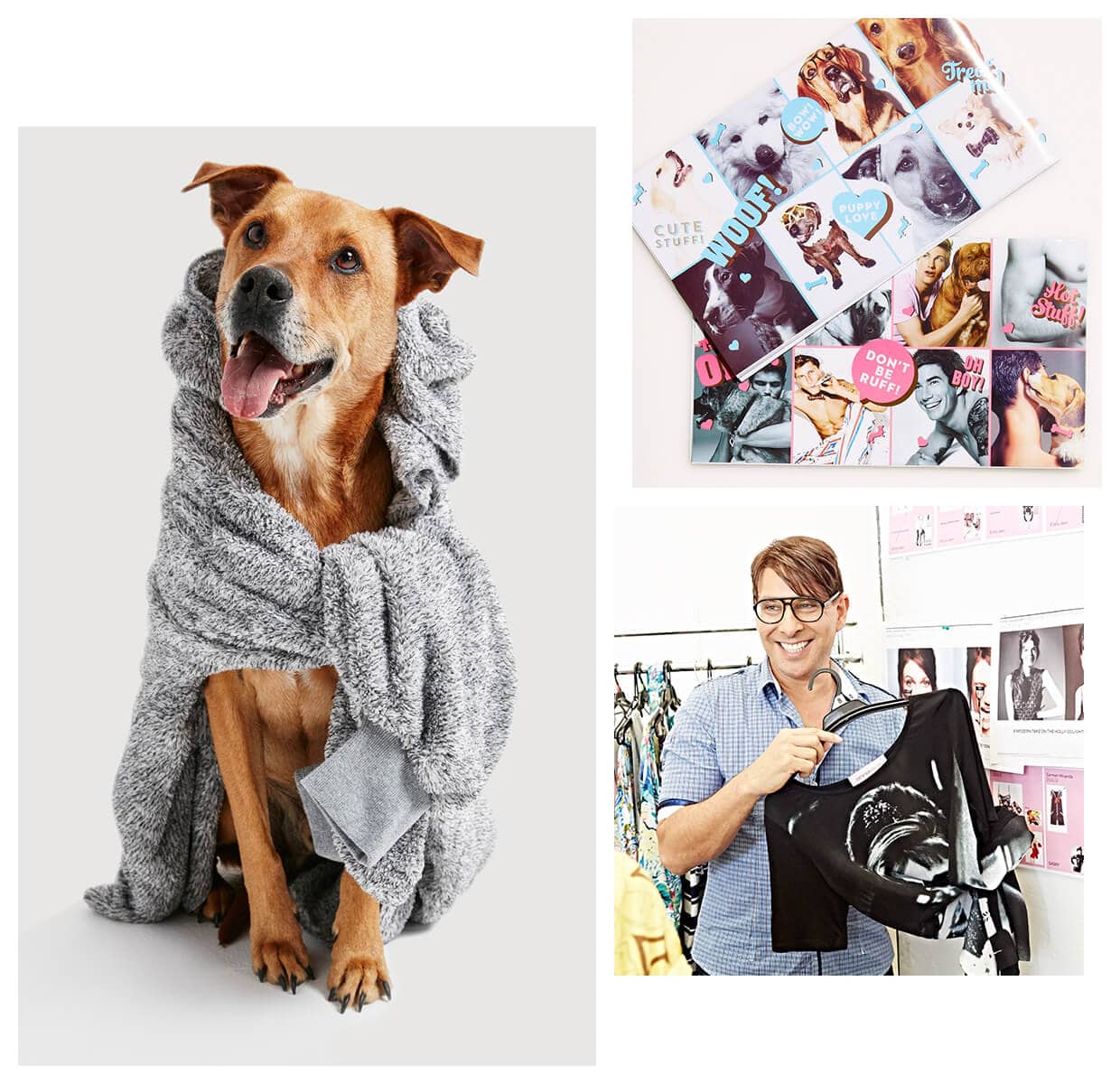 Our Charity | Helping All Creatures Great and Small